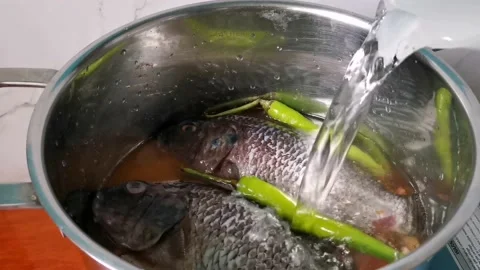 Pouring Water in a Tilapia Fish Stock | Stock Video | Pond5