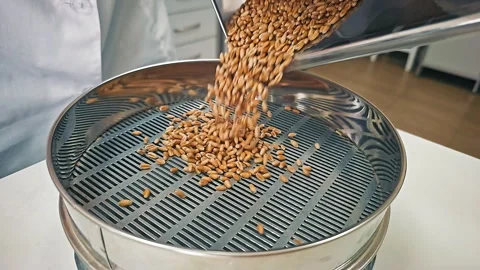 Pouring Grain Stock Videos – Royalty-Free HD & 4K Videos | Pond5