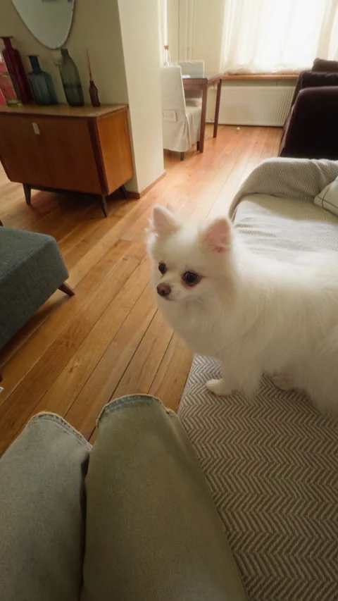 Anonymous Content Stock Videos – Royalty-Free HD & 4K Videos | Pond5