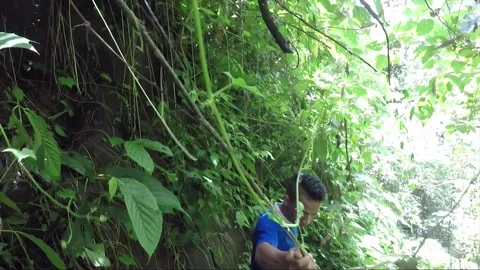 Descend Sounds A Stock Videos – Royalty-Free HD & 4K Videos | Pond5