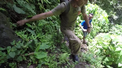 Descend Sounds A Stock Videos – Royalty-Free HD & 4K Videos | Pond5