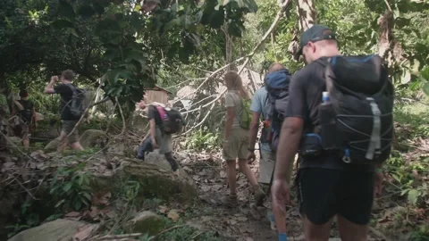 Jungle Pov Stock Video Footage | Royalty Free Jungle Pov Videos | Pond5