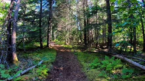 Hiking Pov Stock Video Footage | Royalty Free Hiking Pov Videos | Pond5