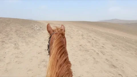 POV Riding, Galloping Chestnut horse goi... | Stock Video | Pond5