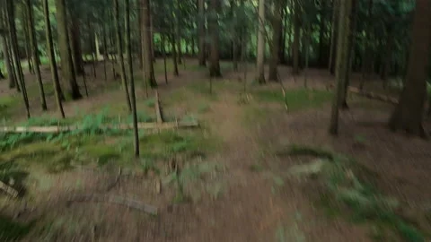 Running Through Forest Pov Stock Footage ~ Royalty Free Stock Videos ...