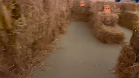 Maze Pov Stock Videos – Royalty-Free HD & 4K Videos | Pond5