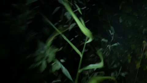 Running Man C Stock Videos – Royalty-Free HD & 4K Videos | Pond5