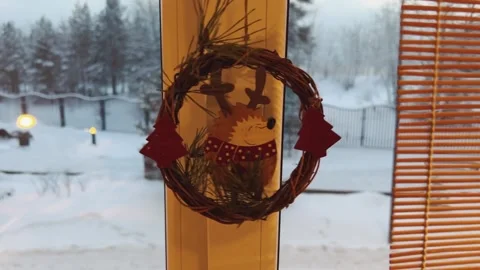 Shake Tree Pov Stock Videos – Royalty-Free HD & 4K Videos | Pond5