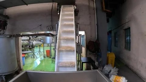 Agricultural Raw Materials Stock Videos – Royalty-Free HD & 4K Videos ...