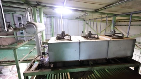 Chili Go Go Stock Video Footage | Royalty Free Chili Go Go Videos | Pond5