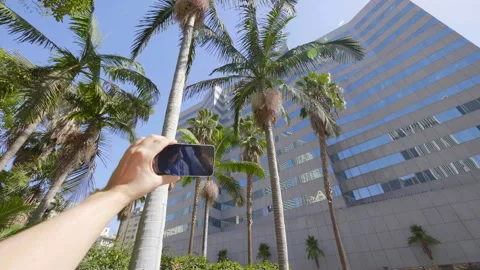 Picture Of Downtown Stock Videos – Royalty-Free HD & 4K Videos | Pond5