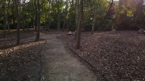 POV walking to crossroads in forest path... | Stock Video | Pond5