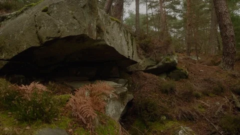 POV Walking Past Rock Slabs In Forest At... | Stock Video | Pond5