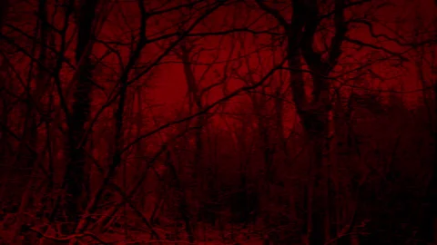 Scary Walk Through Woods Stock Videos – Royalty-Free HD & 4K Videos | Pond5