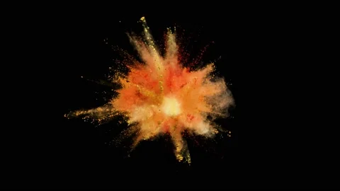 Wild Bleed Stock Videos – Royalty-Free HD & 4K Videos