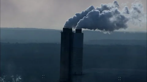 Wood Plant Videos Stock Videos – Royalty-Free HD & 4K Videos | Pond5