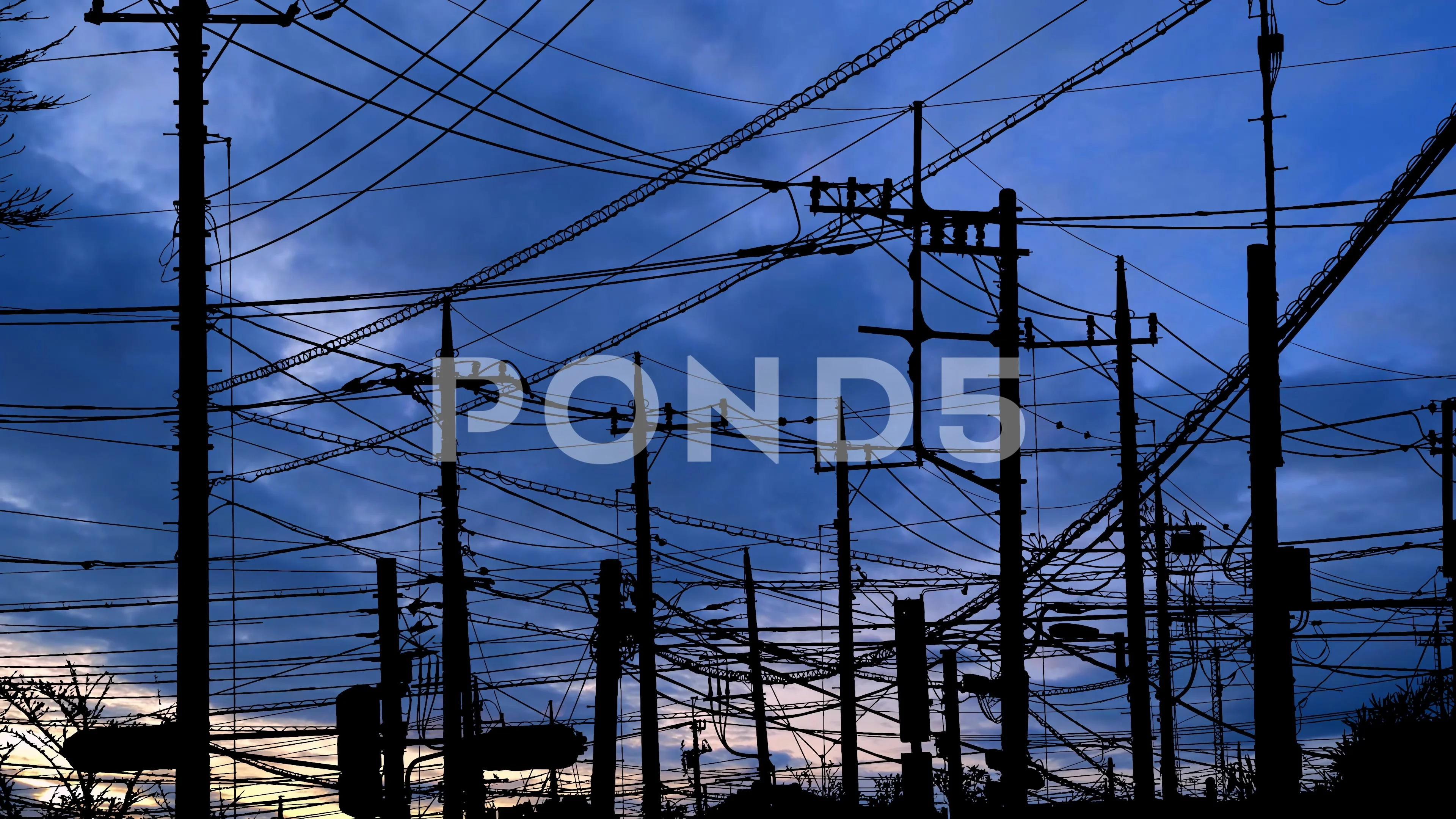 Telephone Wire Silhouette