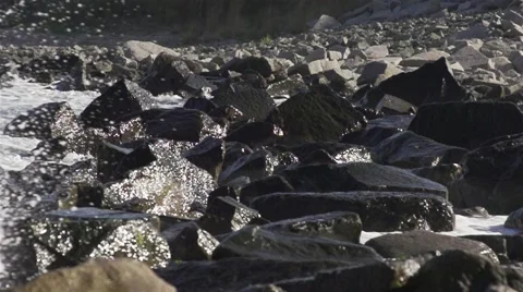 Rocky Run Images Stock Videos – Royalty-Free HD & 4K Videos