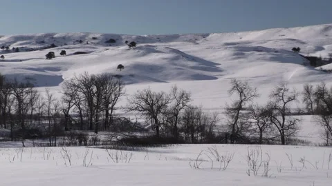 Prairie Grassland Landscape Scenery in S... | Stock Video | Pond5