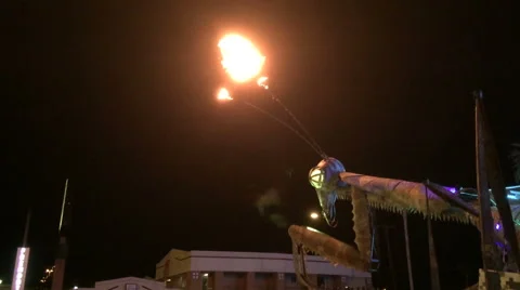 Fremont Shooting Stock Footage ~ Royalty Free Stock Videos | Pond5