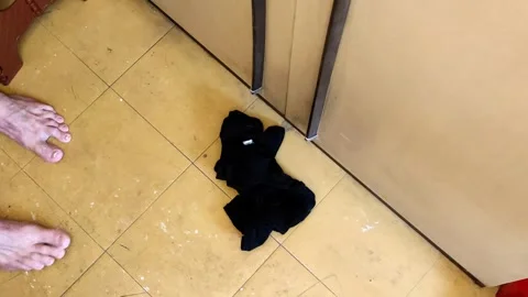 Pulling Down Underwear Stock Videos – Royalty-Free HD & 4K Videos