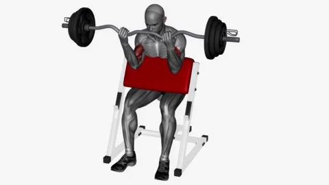 preacher curl ez bar fitness exercise wo... | Stock Video | Pond5