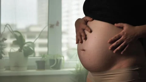 Third Window Stock Videos – Royalty-Free HD & 4K Videos