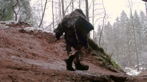 Prehistoric caveman goes outside from hi... | Stock Video | Pond5