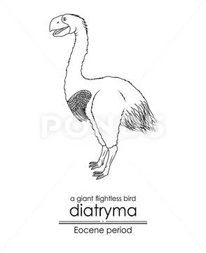 A prehistoric giant flightless bird, Diatryma, from the Eocene period ...