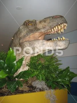 'Prehistoric Park' TV ~ High Resolution #206050978