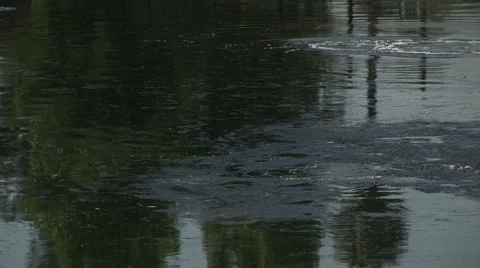 La Brea Tar Pits Stock Video Footage | Royalty Free La Brea Tar Pits ...