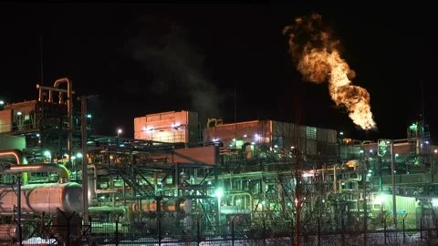 Protifit Products Stock Videos – Royalty-Free HD & 4K Videos