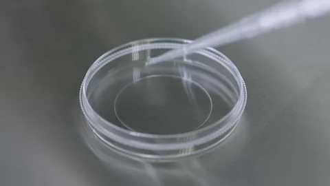 Icsi Stock Footage ~ Royalty Free Stock Videos | Pond5