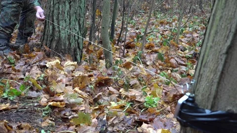 Preparing a booby trap in the forest | Stock Video | Pond5