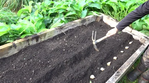 Man Planting Garden Stock Videos – Royalty-Free HD & 4K Videos