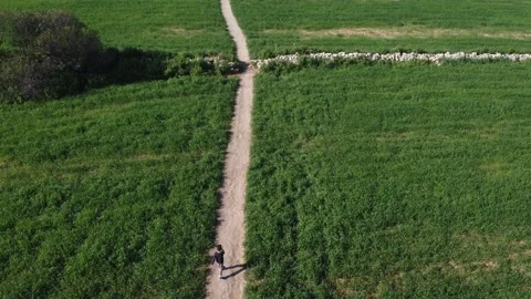 Preschool kid, boy running on dusty path... | Stock Video | Pond5