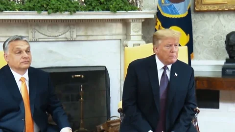 Korean American Opening Stock Videos – Royalty-Free HD & 4K Videos | Pond5