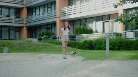 Puppy Walks Stock Videos – Royalty-Free HD & 4K Videos | Pond5