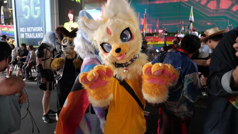 Pride Parade Furry Costumes | Stock Video | Pond5