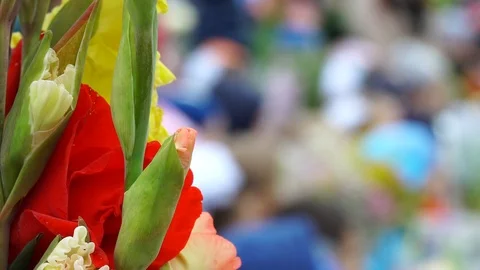 Primary and elementary school children a... | Stock Video | Pond5