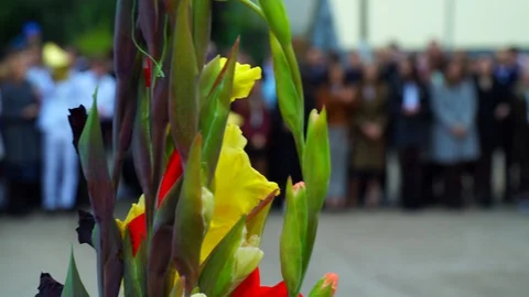 Primary and elementary school children a... | Stock Video | Pond5