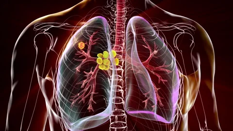 Lung Animation Stock Videos – Royalty-Free HD & 4K Videos