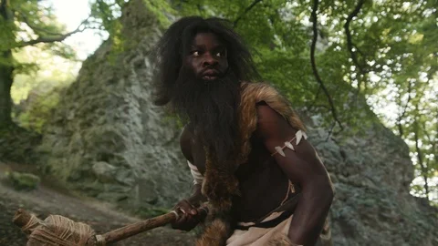 Tipic Stock Videos – Royalty-Free HD & 4K Videos | Pond5