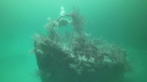 Prince Albert shipwreck, Roatan Honduras... | Stock Video | Pond5