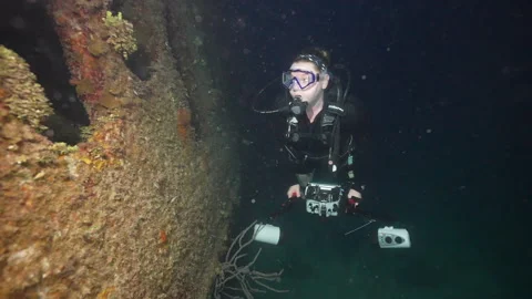 Prince Albert Shipwreck, Roatan Honduras... | Stock Video | Pond5