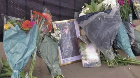 Picture Prince Stock Videos – Royalty-Free HD & 4K Videos