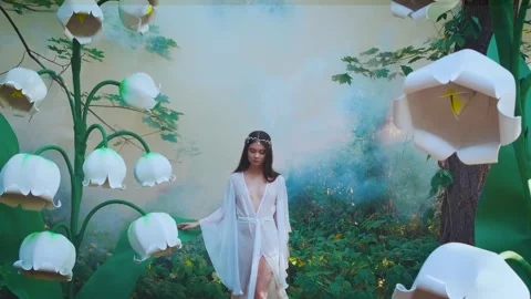 Princess_Lily Stock Videos – Royalty-Free HD & 4K Videos