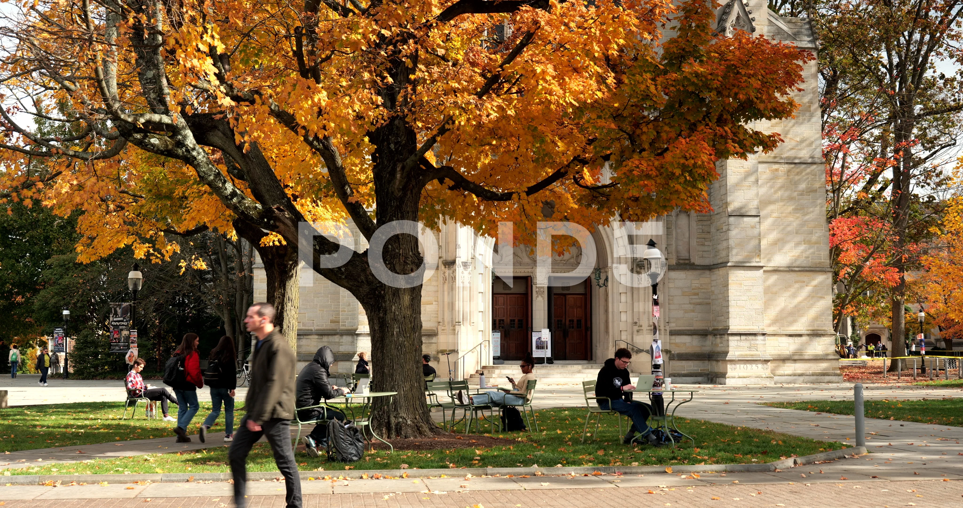 Princeton University Campus Fall
