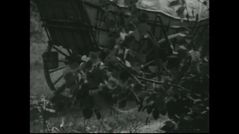 Prior Th Stock Videos – Royalty-Free HD & 4K Videos