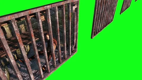 Prison Green Screen Stock Videos – Royalty-Free HD & 4K Videos